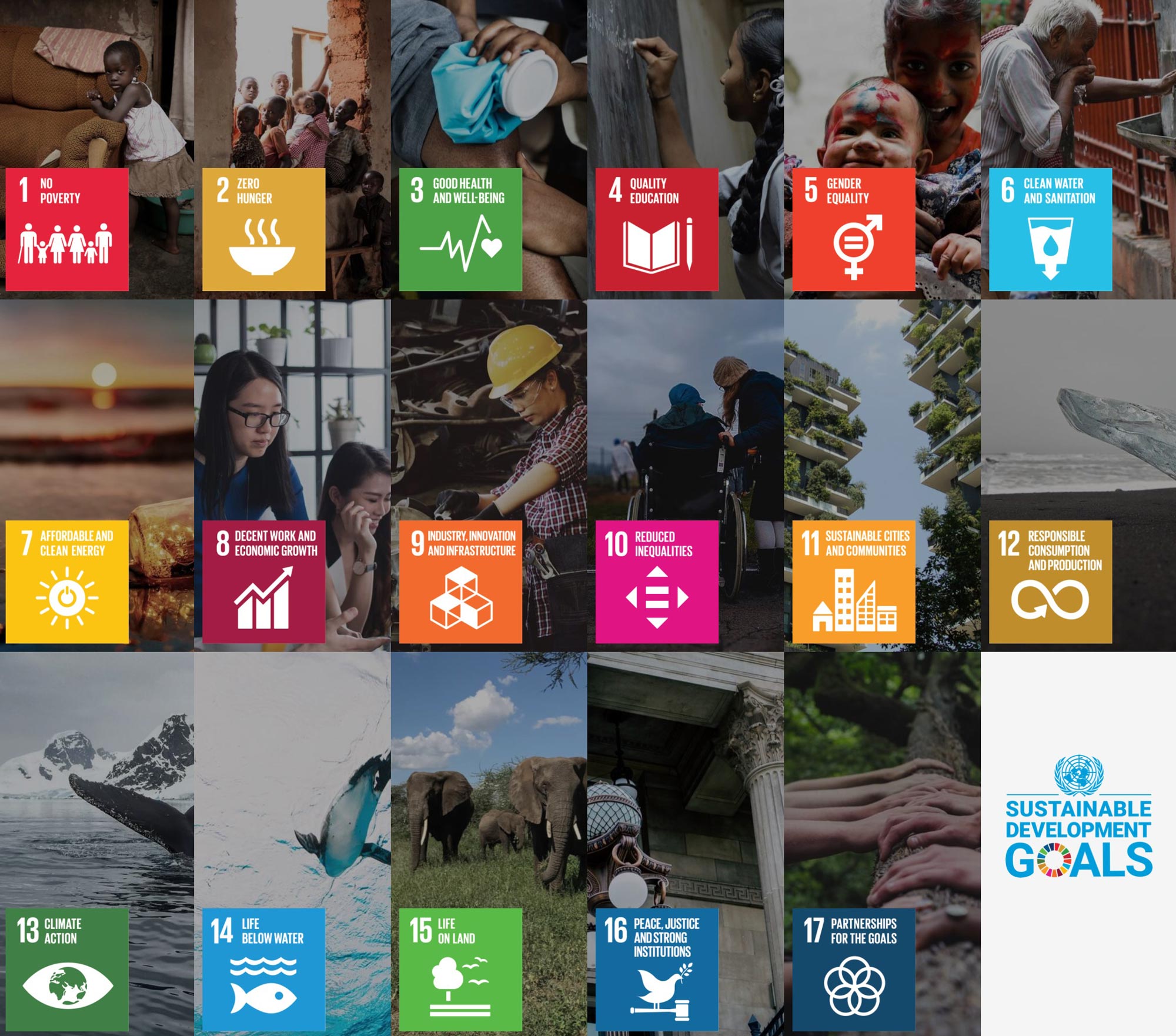 How Digitalys supports the Sustainable Development Goals of the United ...